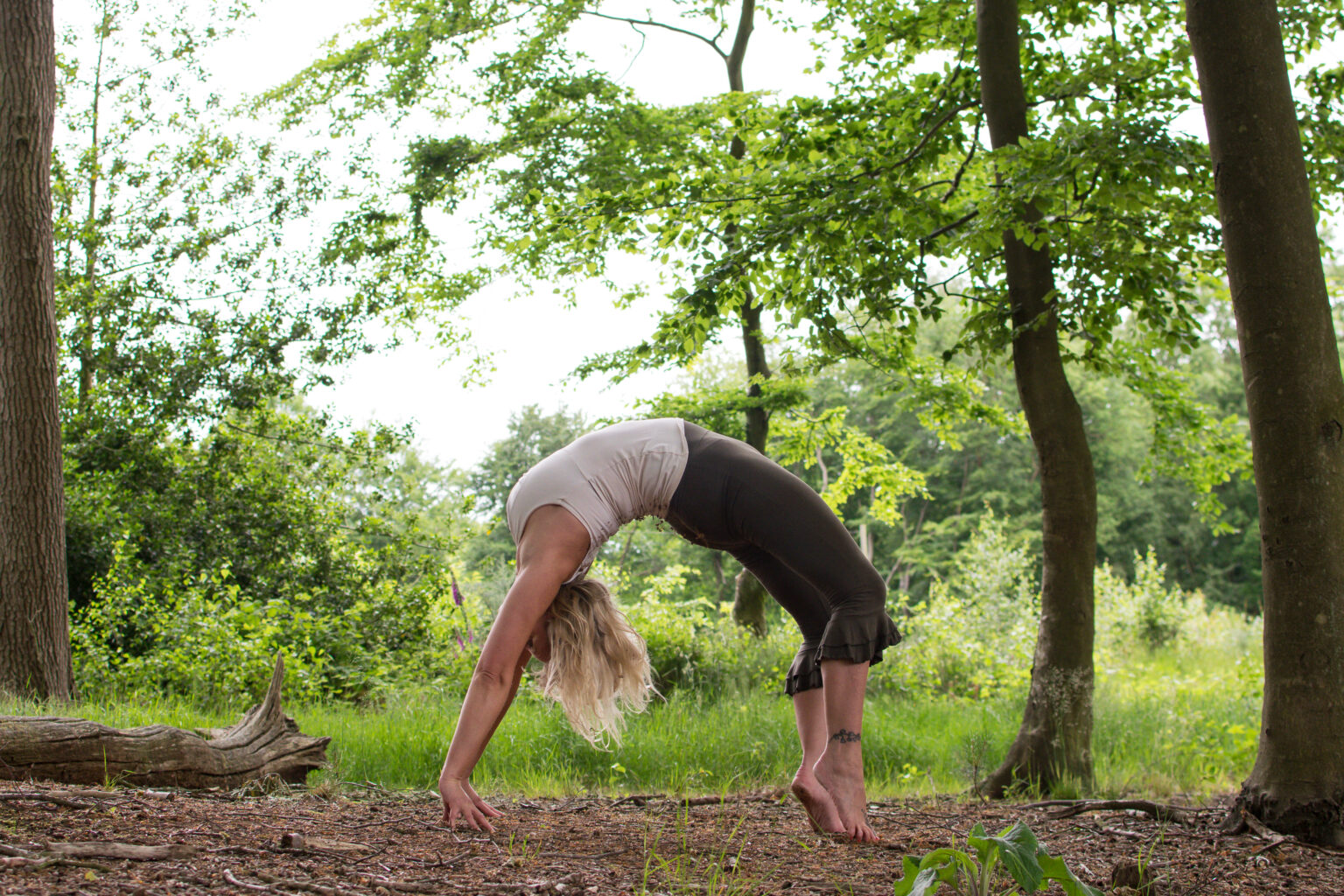 Re-Wilding Yourself - Yoga Retreat in Swedish Forest October 27 - 30 ...